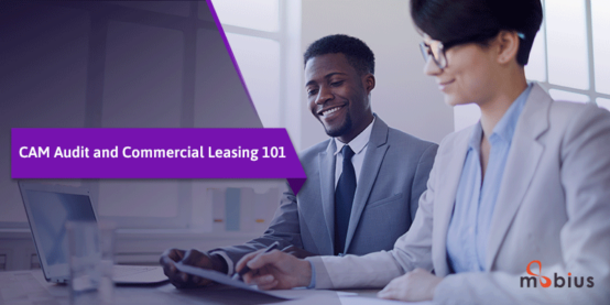 CAM Audit and Commercial Leasing 101 - Blog | Mobius Knowledge Services