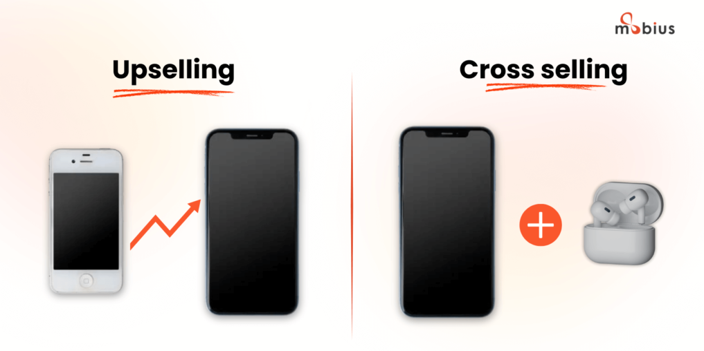 Catalog Management Best Practices | Ecommerce Services | Mobius